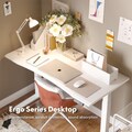 3-Stage Inverted Dual-Motor Standing Desk E5 | FlexiSpot