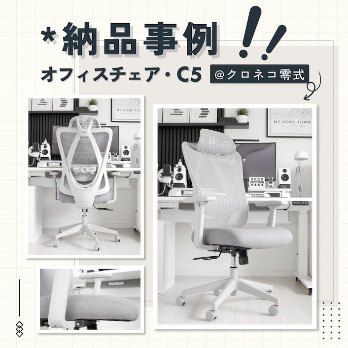オフィスチェア・C5 | FlexiSpot 公式ストア オフィスチェア・C5 | FlexiSpot 公式ストア